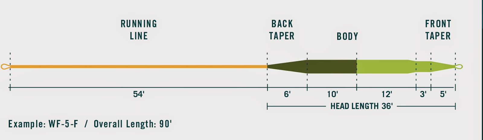 Gorge Fly Shop Blog: Rio Trout Lines - Defined!