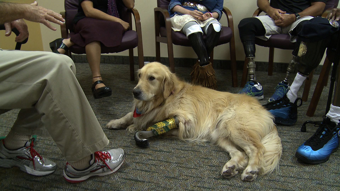 Bionics, Transhumanisme, dan Masa Depan Kekristenan