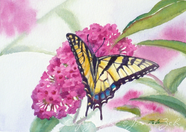 Zeh Original Art Blog Watercolor and Oil Paintings: Tiger Swallowtail ...
