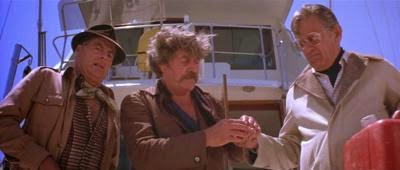 Chroniques du Cinéphile Stakhanoviste: SOB - Blake Edwards (1981)