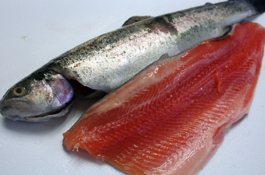 Eetwijzer: De kleuren van de zalmforel