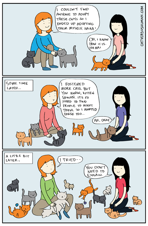 cat versus human