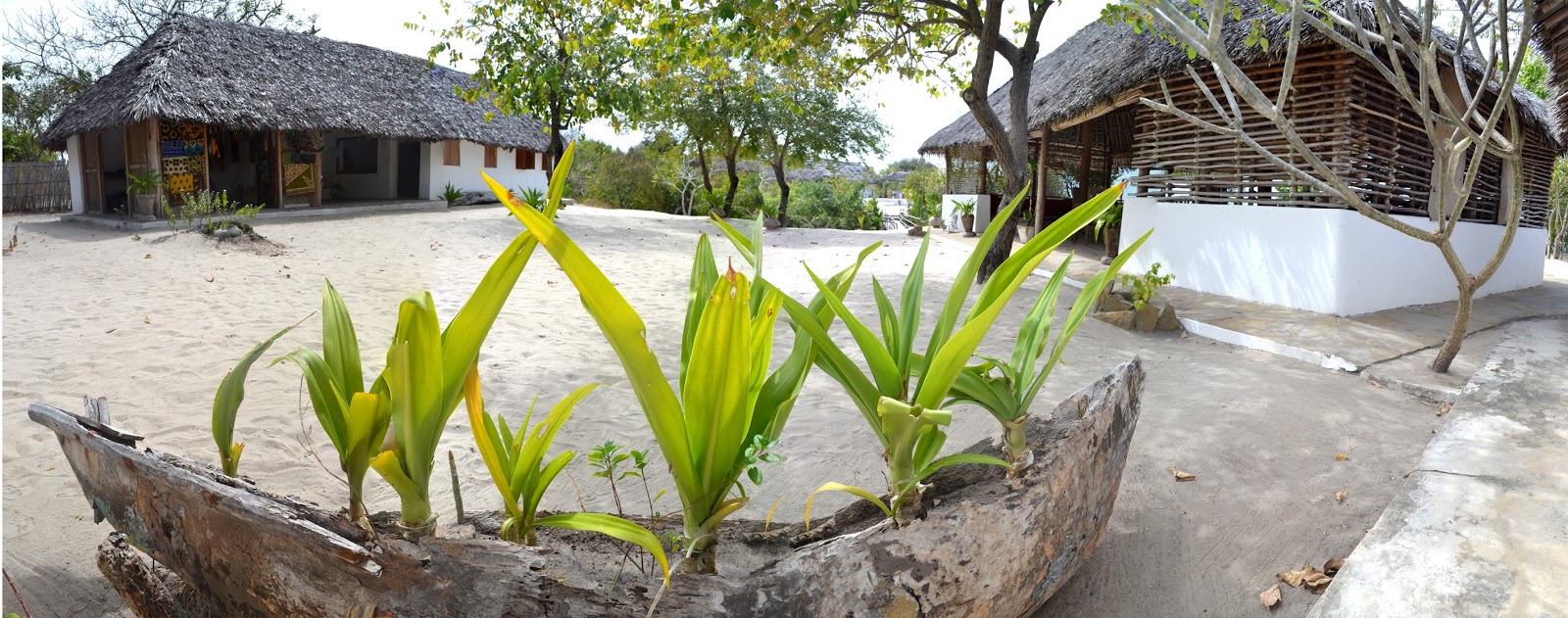 Edward Dale-Harris: Guludo Beach Lodge, near Mucojo, Mozambique