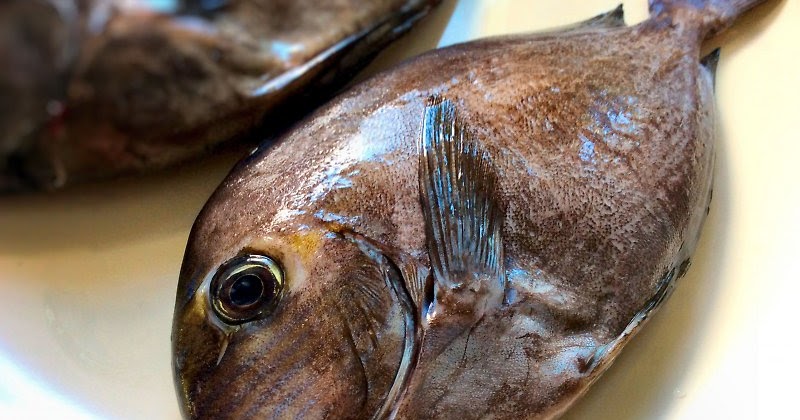 A lesson for today | dead-hungry