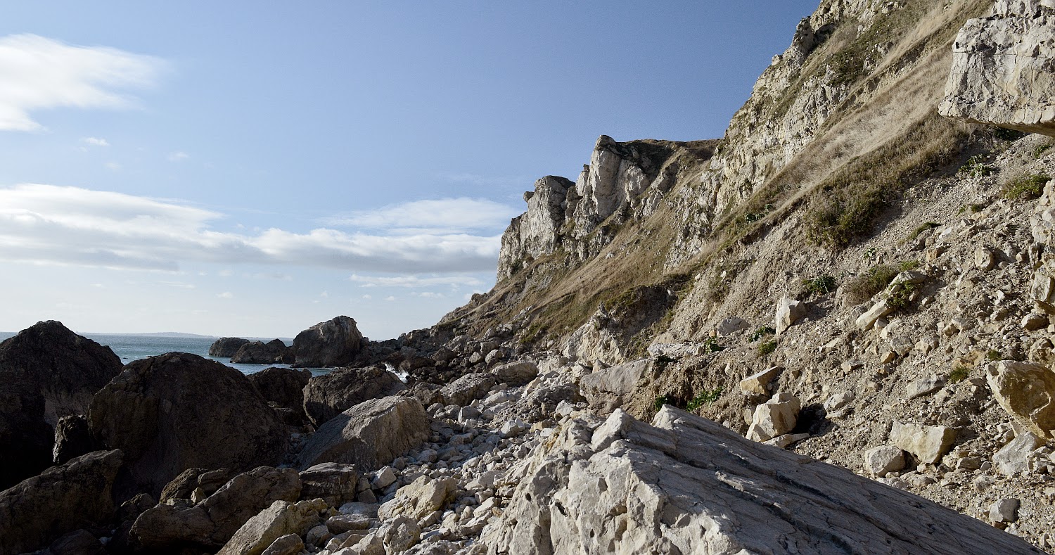 IF YOU GO DOWN TO THE WOODS TODAY....: Dungy Head and St Oswalds Bay