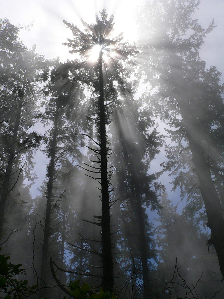 Incredible Crepuscular Rays - Sunbeams Caught on Camera ~ Kuriositas
