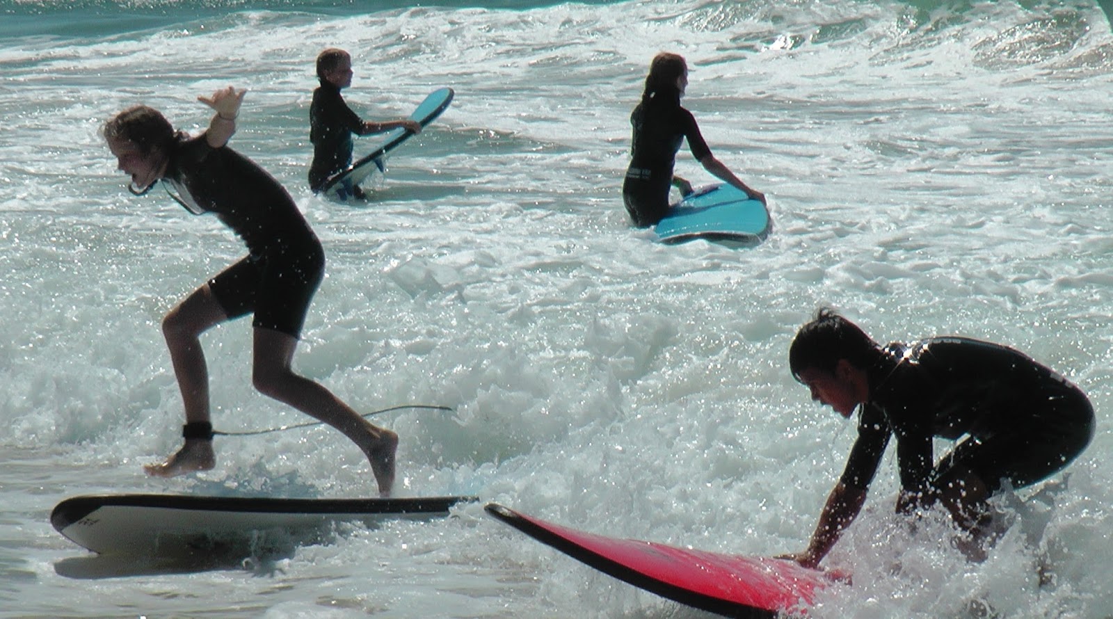 BTC Blog: Tallebudgera Camp