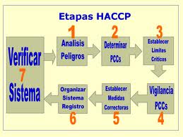 Buenas Prácticas de Manufactura: ANALISIS DE PELIGROS Y PUNTOS CRÍTICOS ...