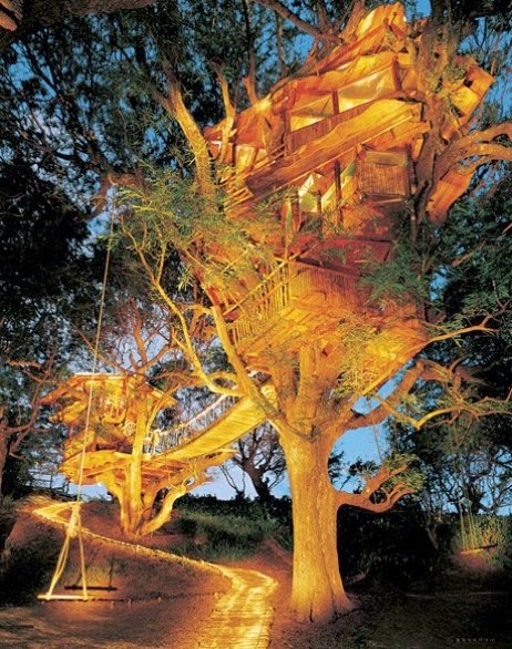 Travel With United Military Travel : Treehouse Hotels and Lodges ...