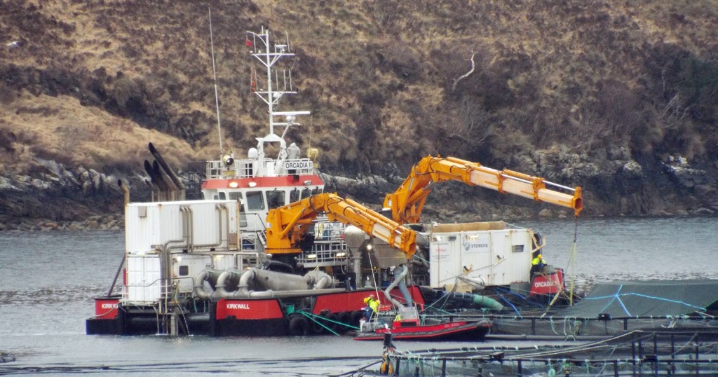 Clyde Naval Gazing: Orcadia II