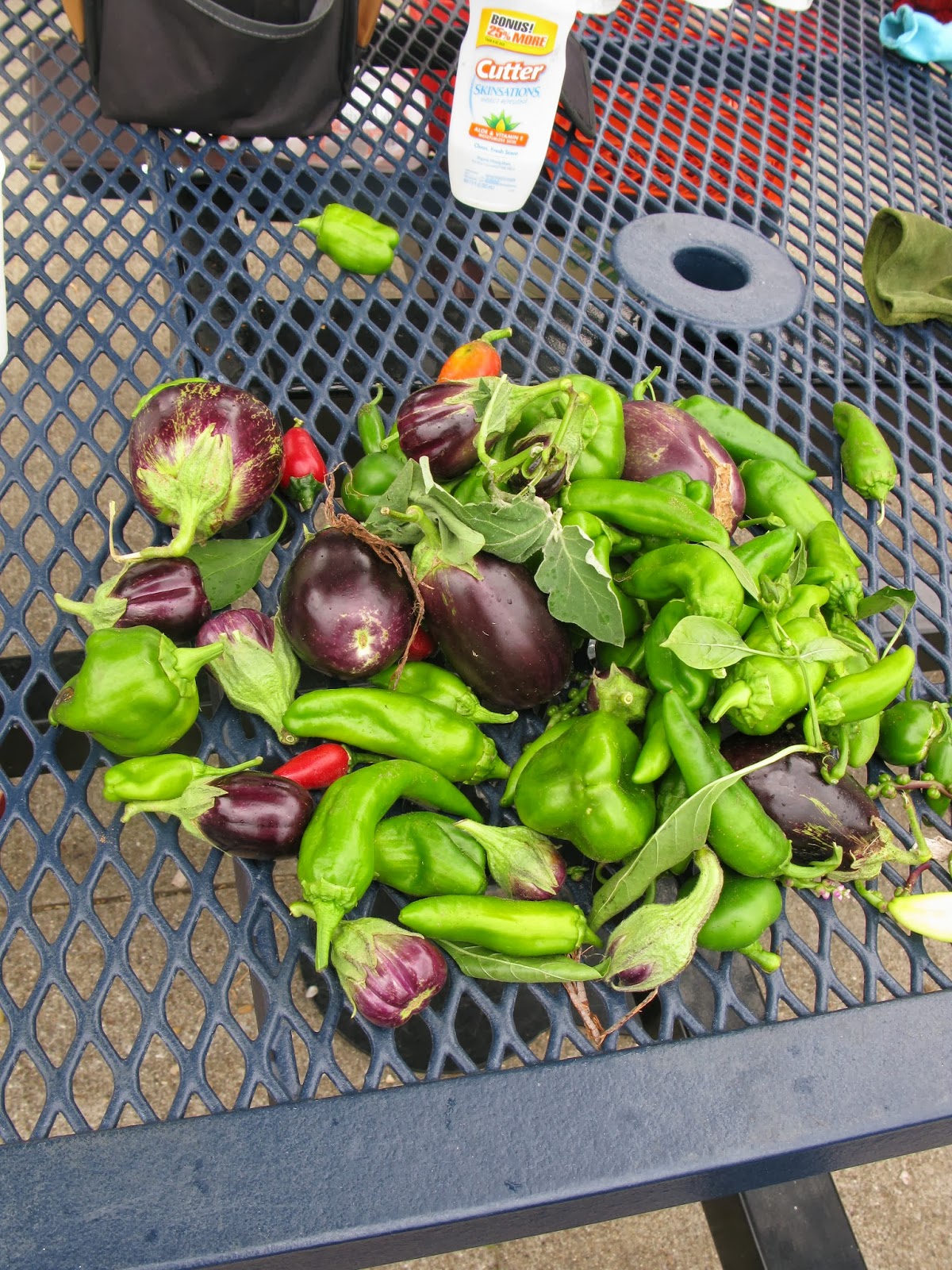 Moss Haven Farm: Green Apple Day Of Service - Year 2