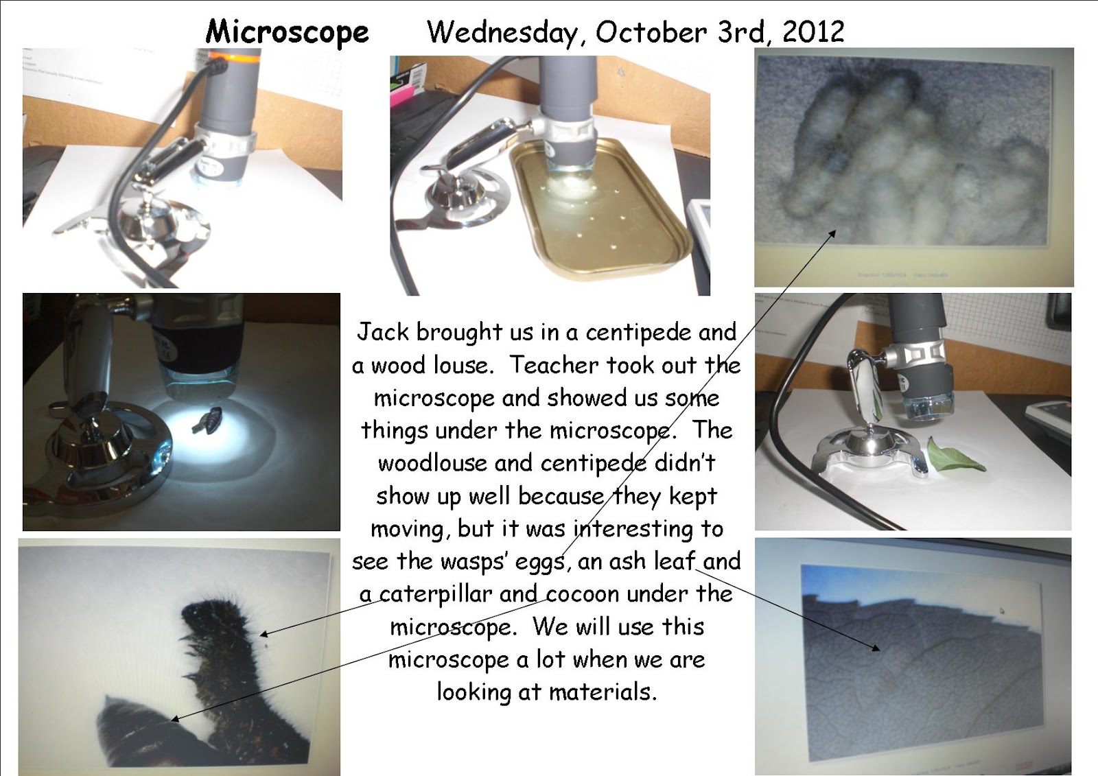 Science Projects: Class microscope