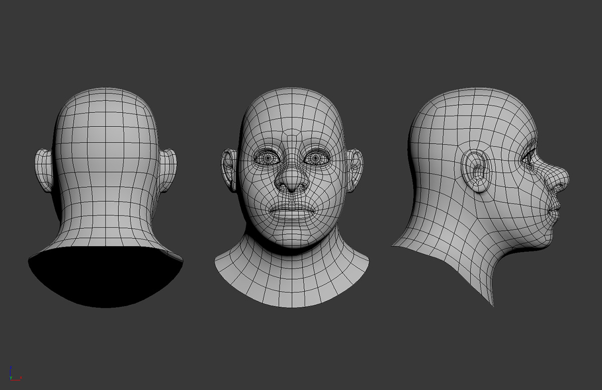 3D Character Wireframe
