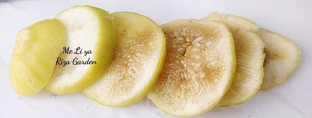 Meiliya Fig - Var Tin