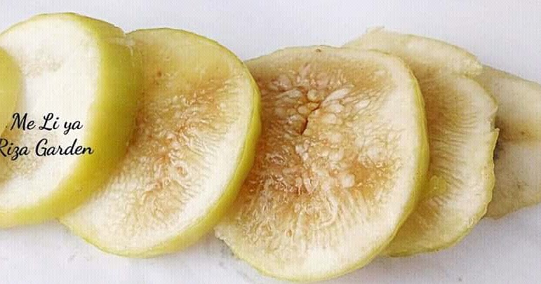 Meiliya Fig - Var Tin