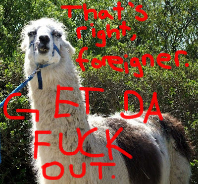 KulturSchock!: The German Drama Llama: Health Insurance