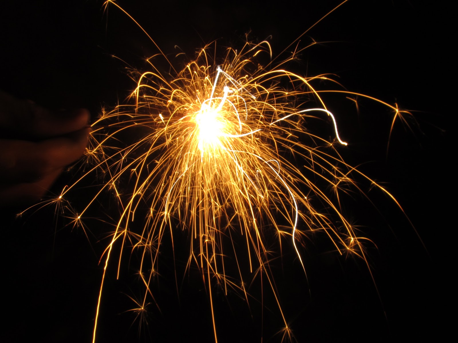 The Hobby Photographer's Blog: Diwali Fire Crackers