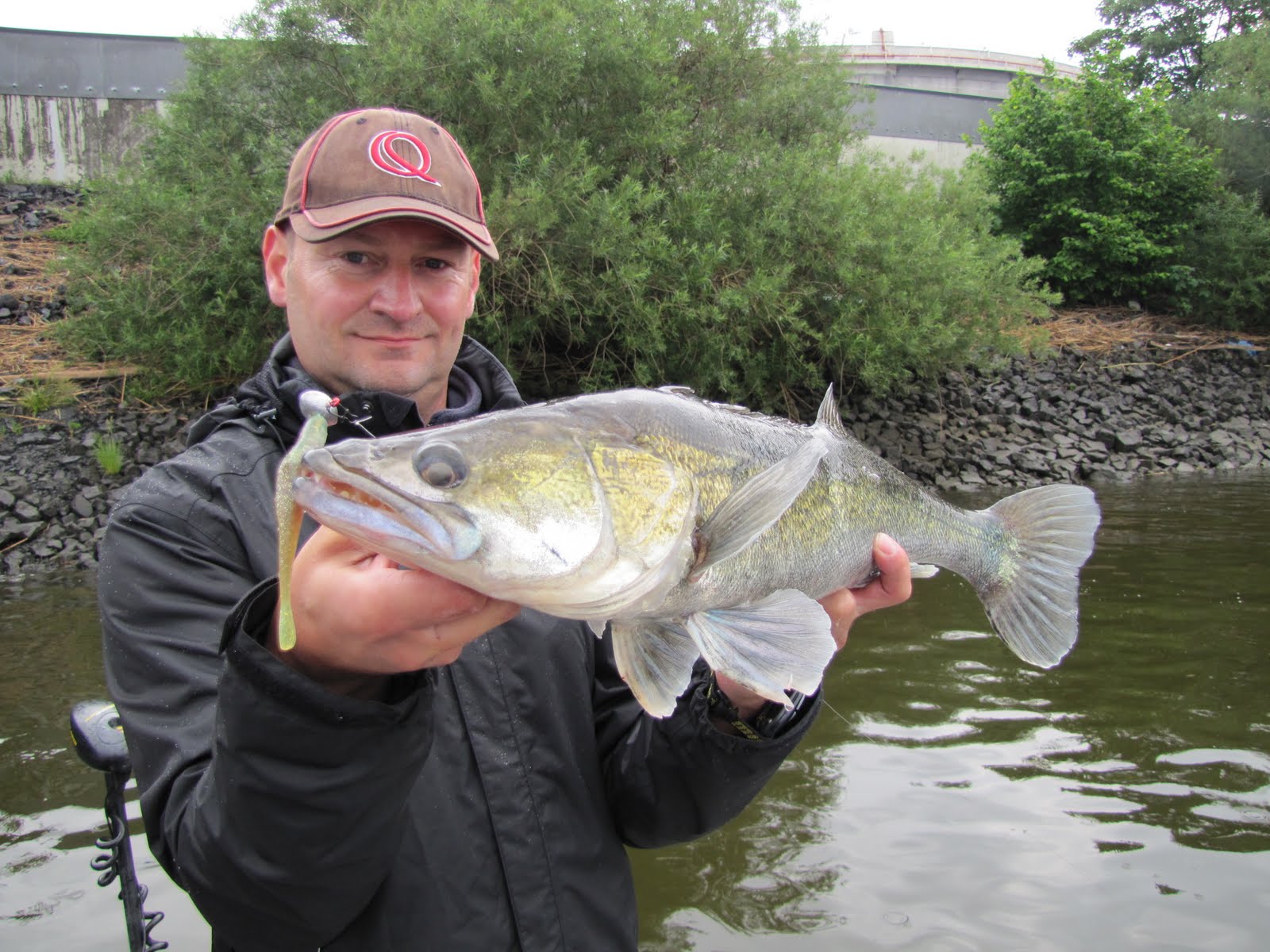 raubfischseminar.de: Juni 2011