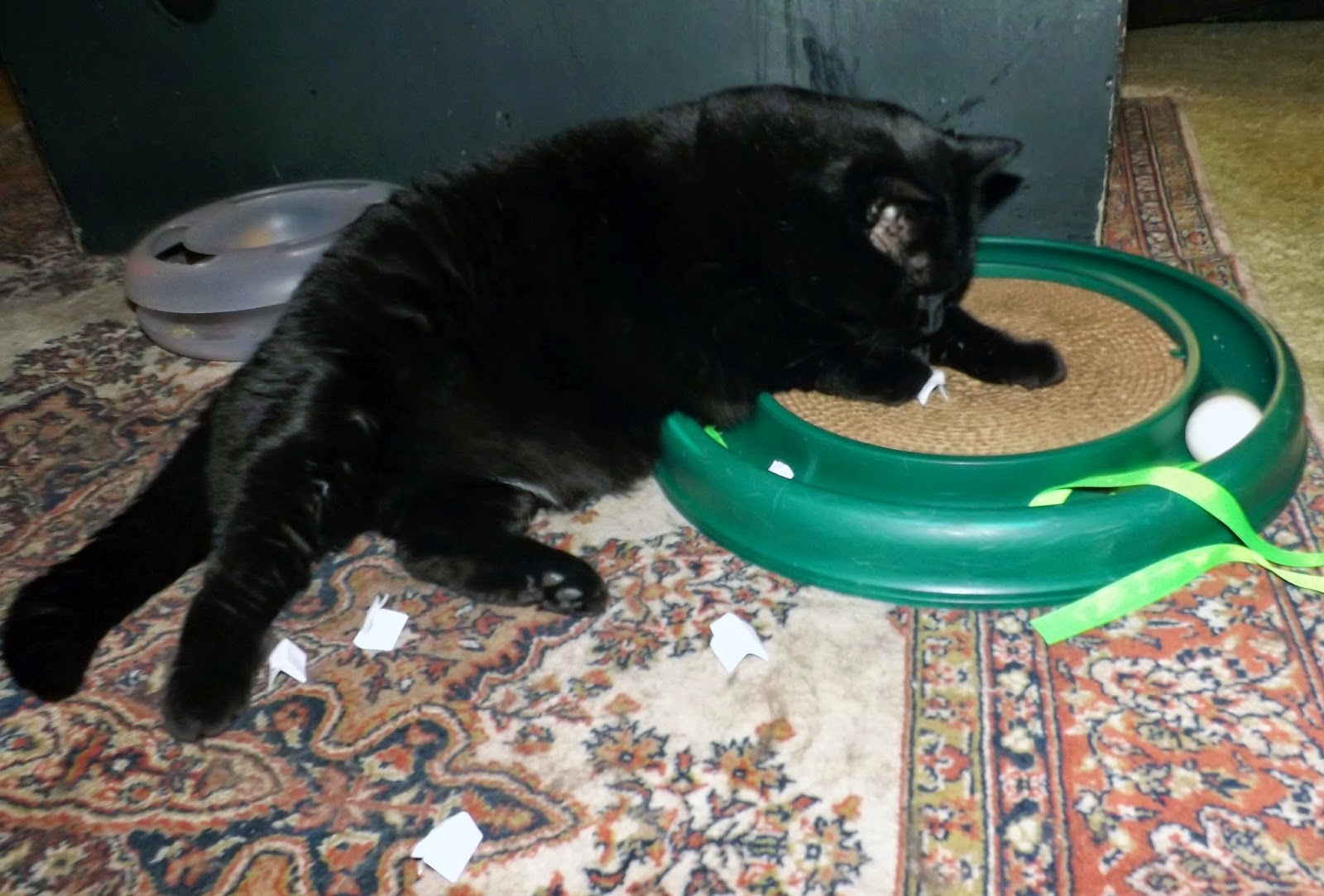 The Wiccan Life: Blessed Litha! (and the winner is ...)