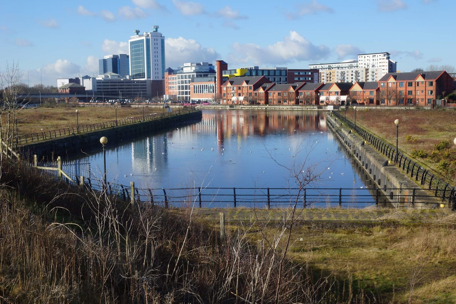 Stuart Marsden's Conservation Research Group: Pomona Island: ducks ...