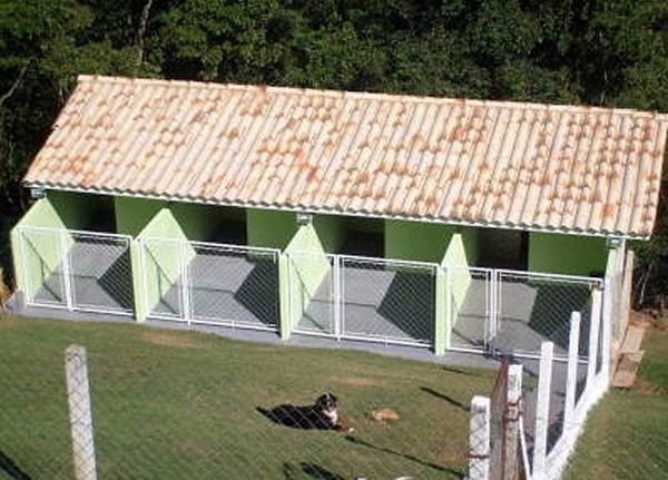 Canil para cachorro: 10 opções para lhe inspirar!