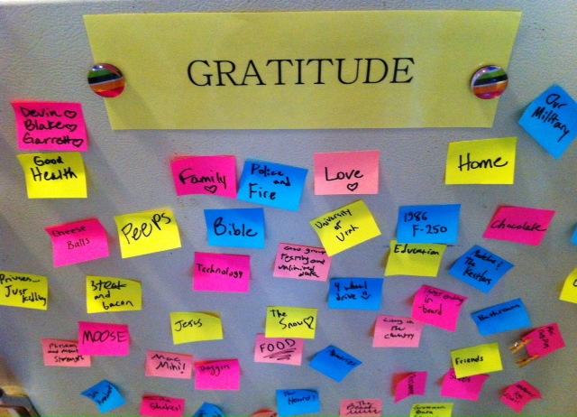 Julie Musil, Author: Wall of Gratitude #IWSG