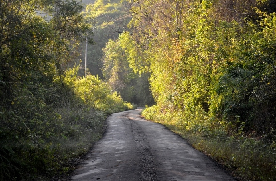 Tamilnadu Tourism: Manjolai Hills, Thirunelveli