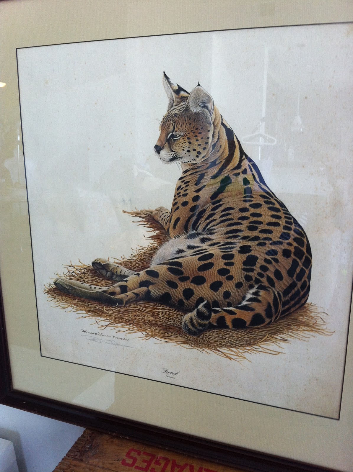 styleboxvintage: crack owl