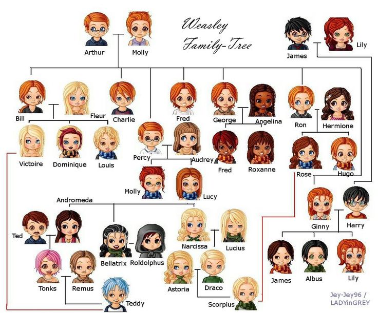 Family Tree - Harry Potter family's