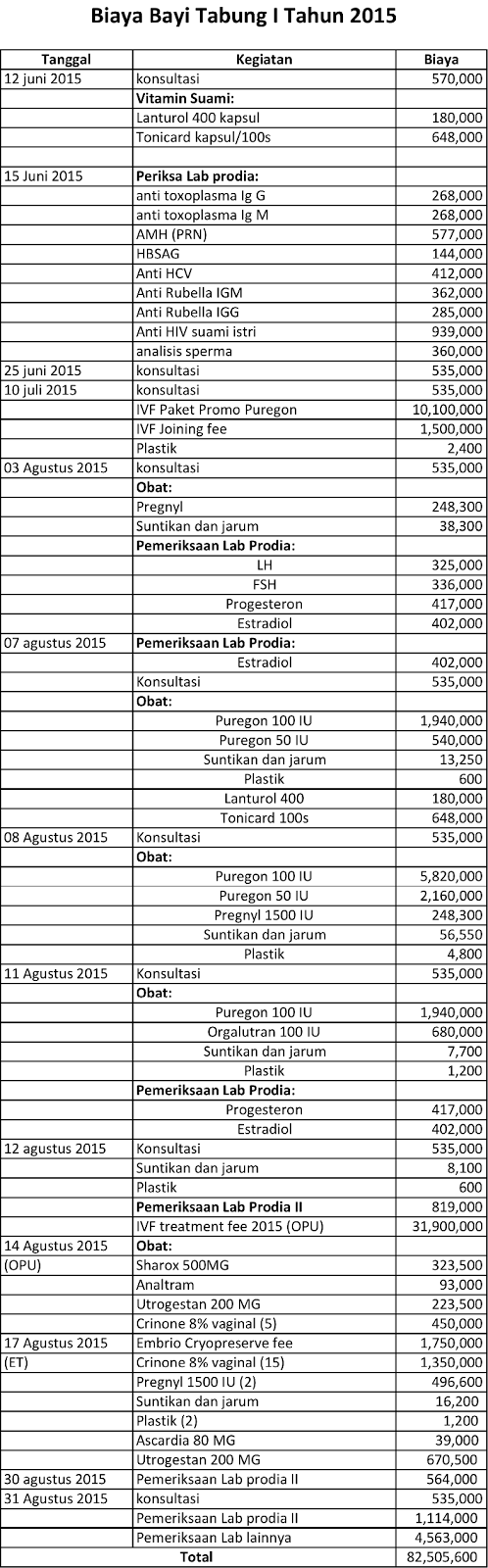 Berhasilnya penantian panjang melalui program bayi tabung (IVF)