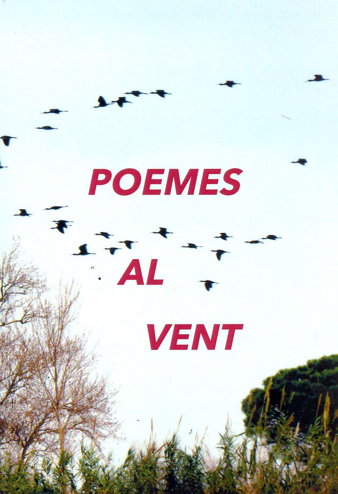 Poemes al vent, novetat a la Biblioteca de Tortosa | Biblioteca de ...