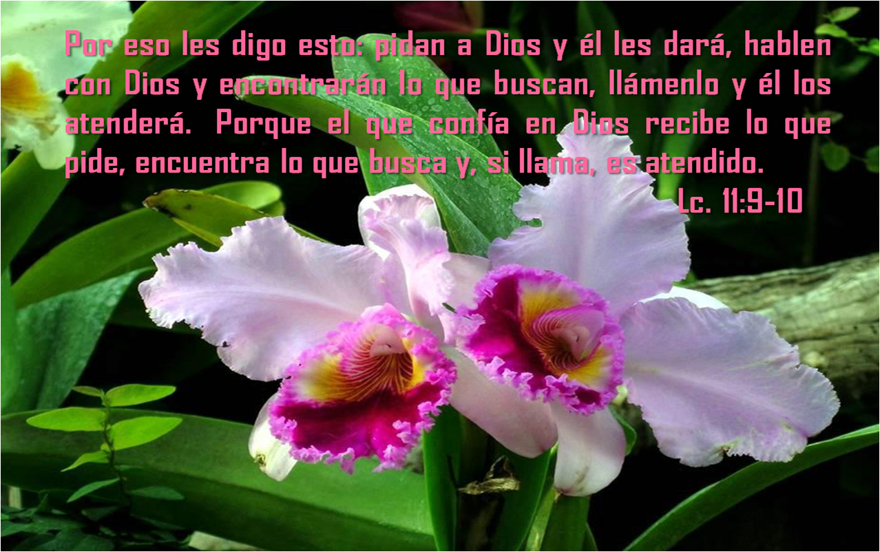 Palabra de Dios: Dios siempre responde