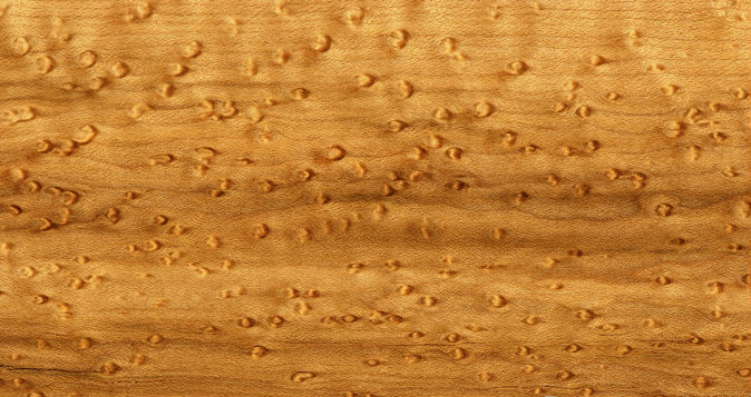 MAPLE - O REI DA LES PAUL