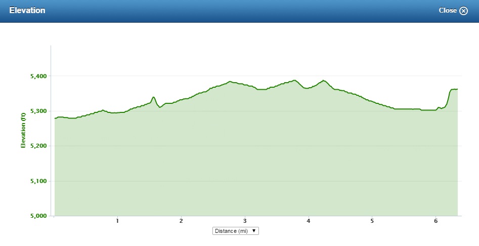 Kate Runs Colorado: Race Recap: Bolder Boulder 2015