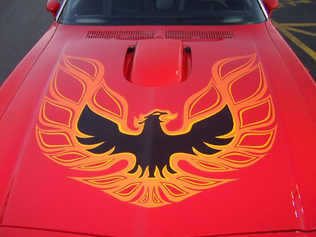 Just A Car Guy: the screaming eagle, flaming chicken... the Trans Am ...