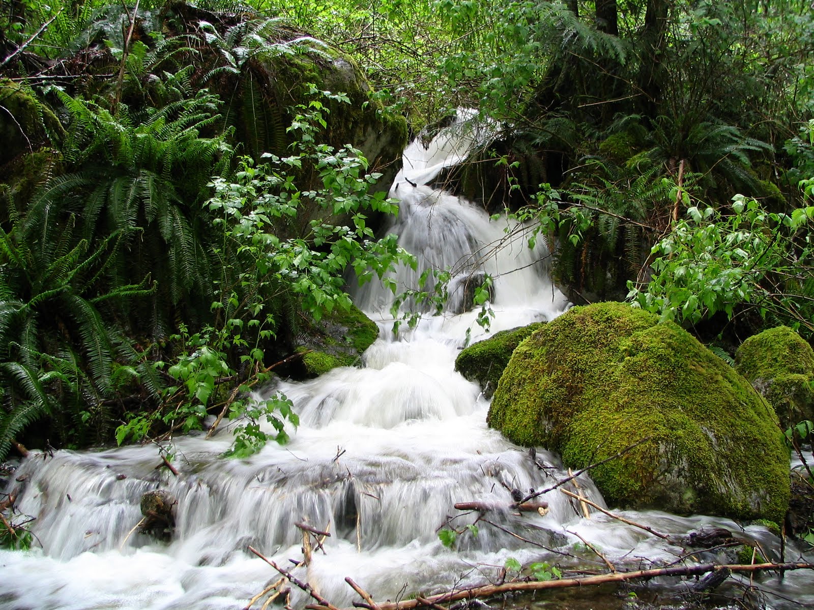 Vancouver Island Lake Adventures: Kunlin Lake