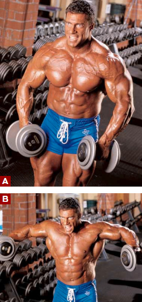 Musculation: Shoulder muscle exercises bodybuilding