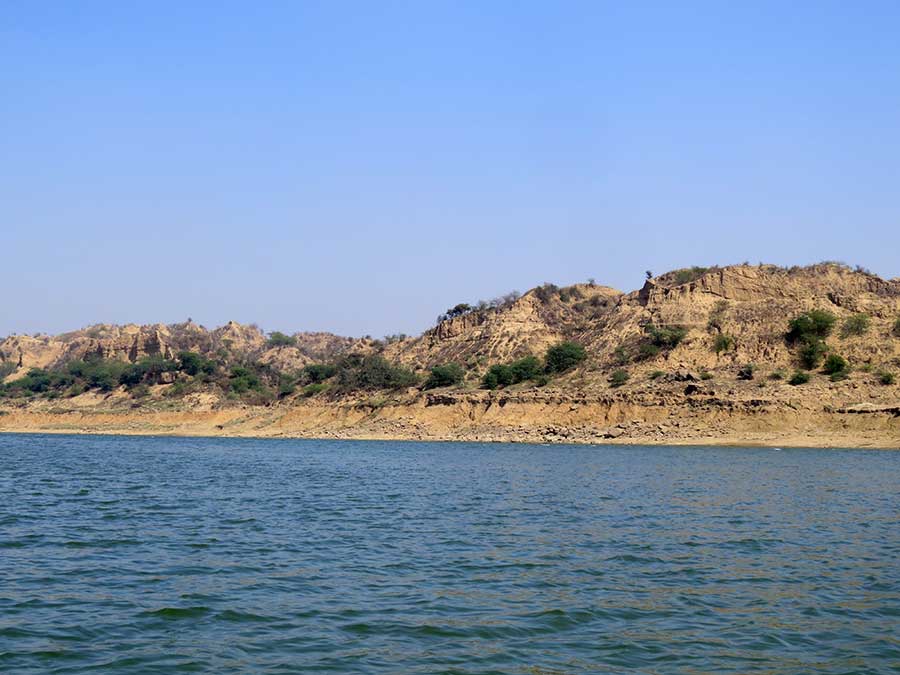 Just About Everything: National Chambal Sanctuary in India, home to a ...