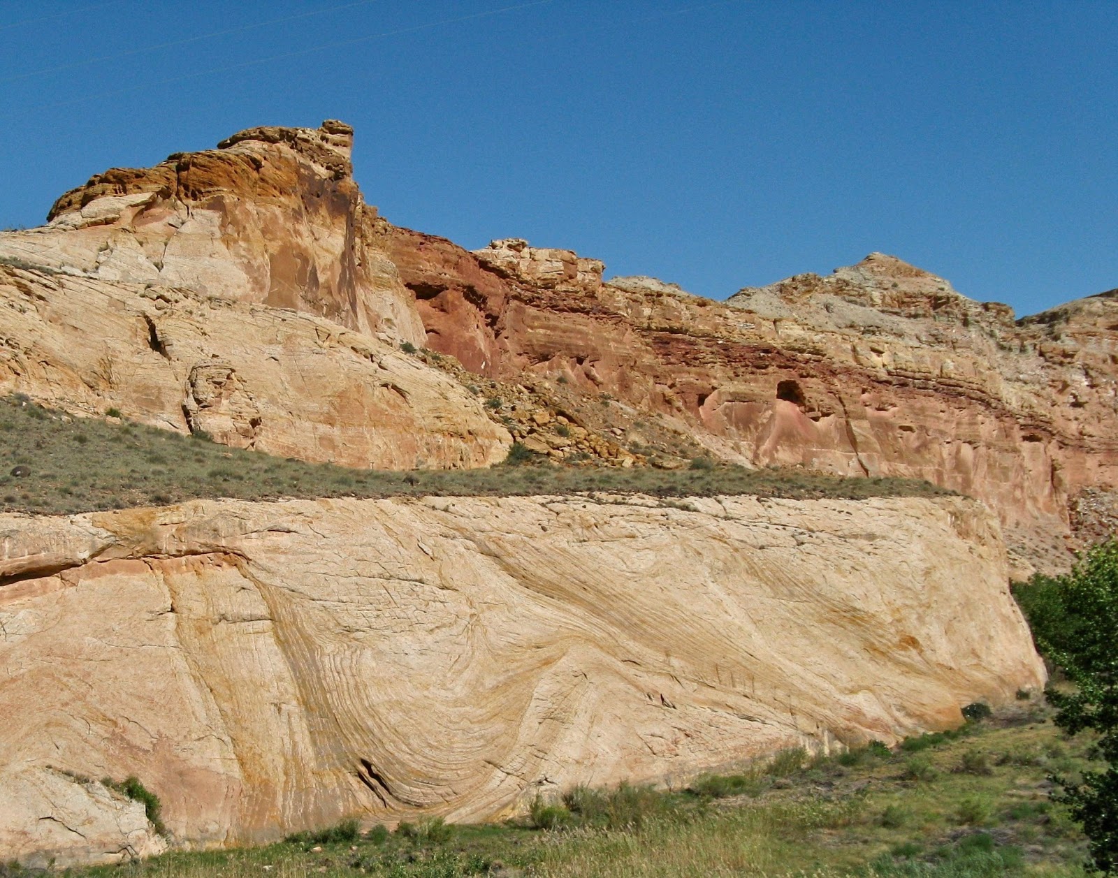 In the Company of Plants and Rocks: The largest erg on earth ... ever!
