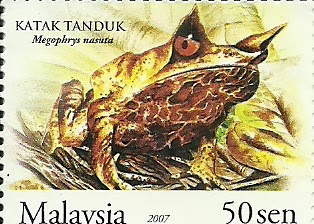 DUNIA SETEM : Stamp- Frog of Malaysia 2007.
