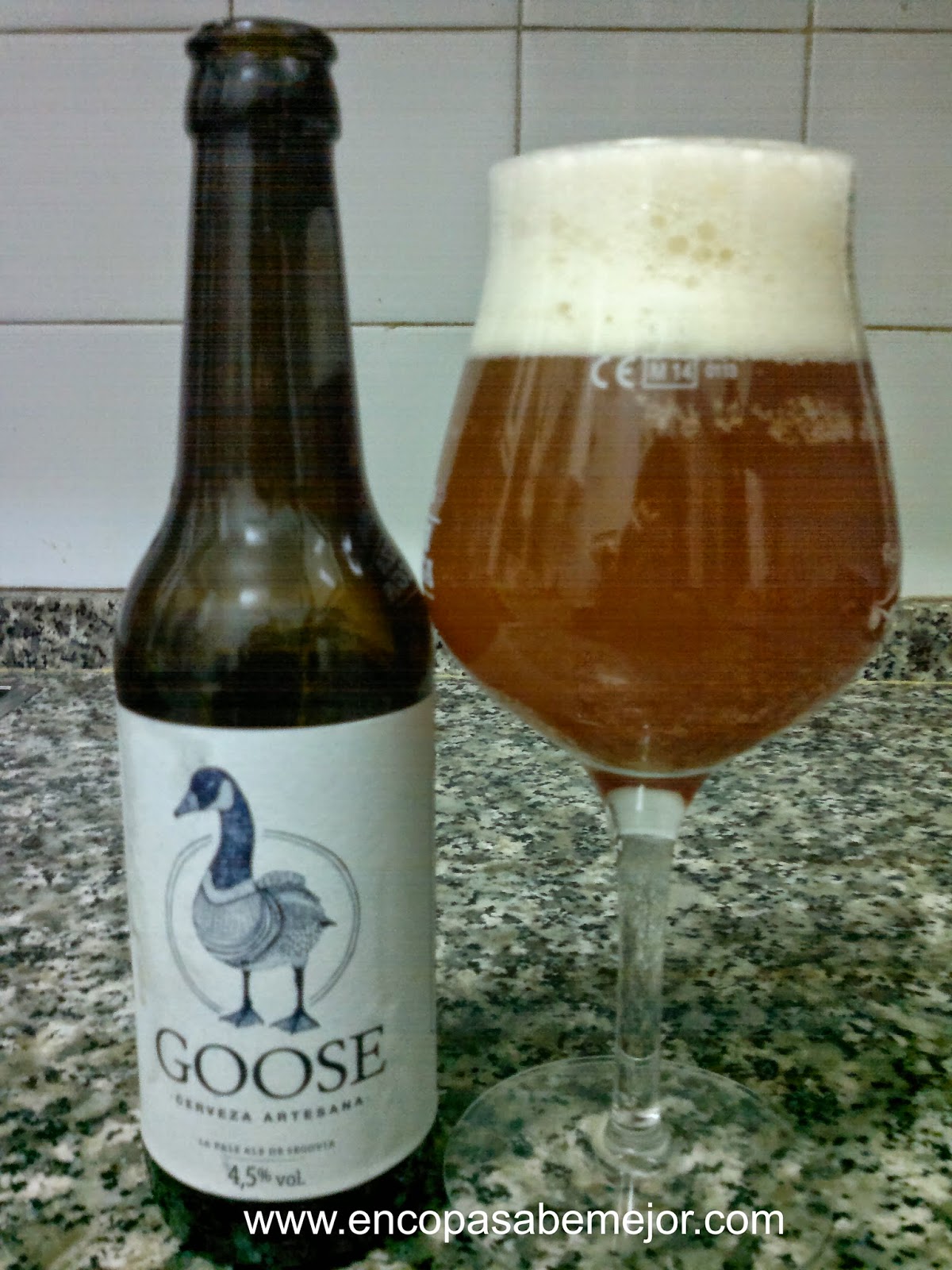En Copa Sabe Mejor: Goose Pale Ale