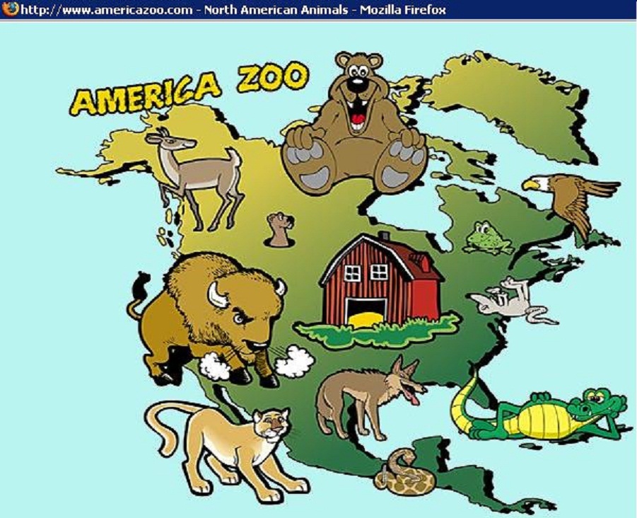 Vidur Sury: Animals by continent 1 - North America