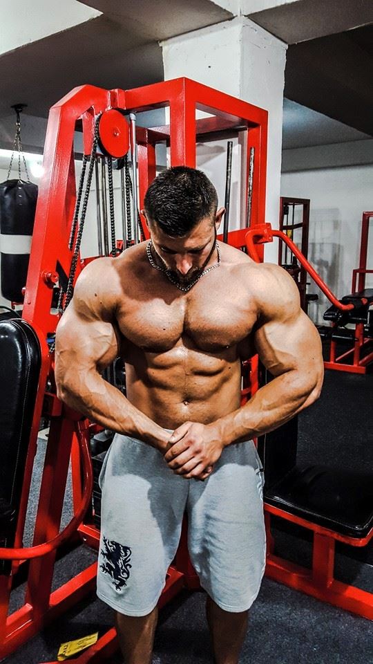 Bodybuilder Muscle Worship: BESIM TRENA ALBANIAN BODYBUILDER