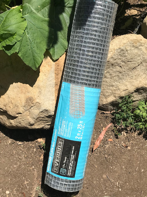 On Discovering A Garden: How to gopher proof your garden.....