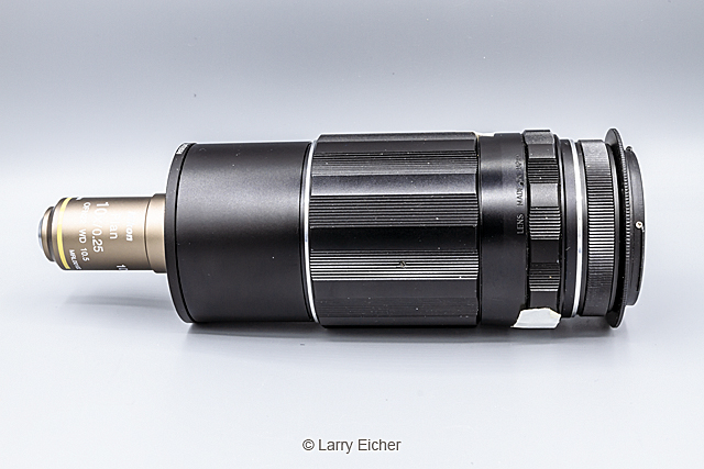 Larry at Larry's Images.com: 4/21/19 - 4/28/19