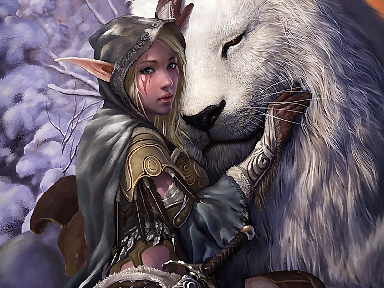 Andy foto natura: Elfas