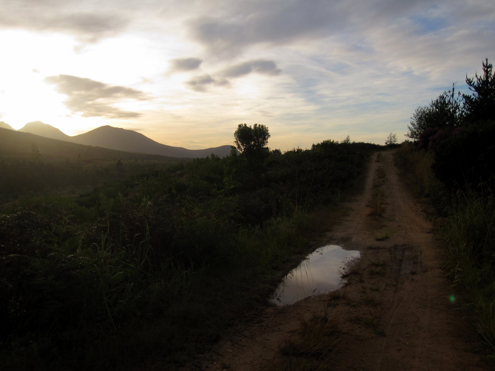 George Dam Trail Run