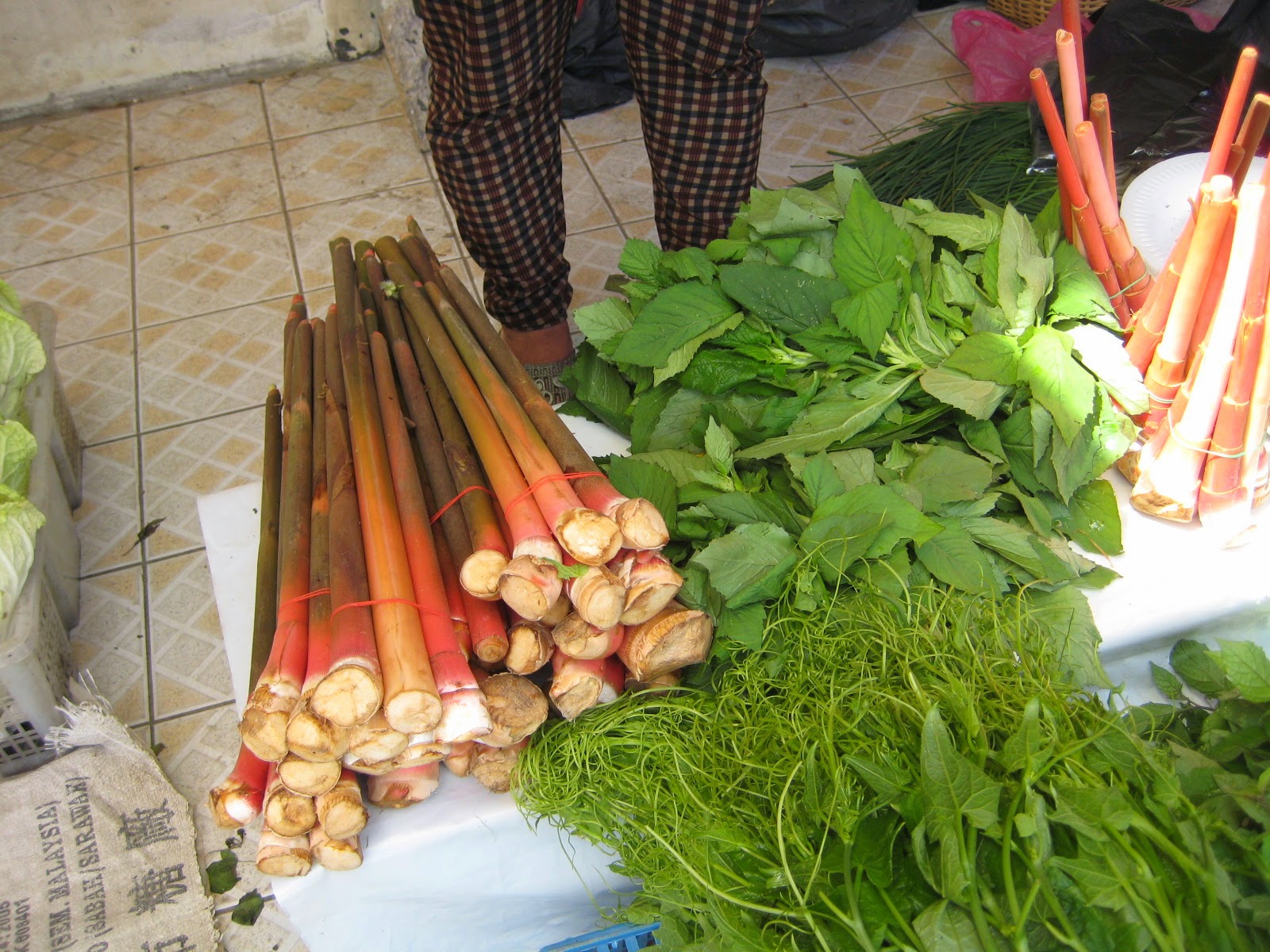 Umbut tepus adalah tuhau ~ As Life Goes On...