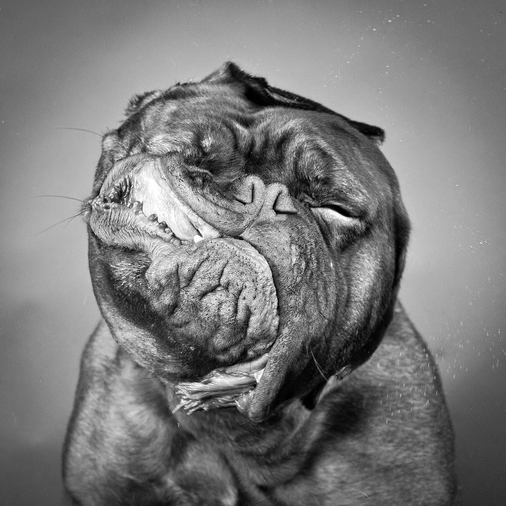 Claudio Tomassini: Seth Casteel