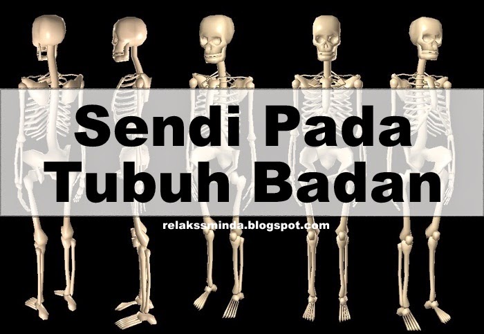 Kenali Sendi Pada Anggota Tubuh Badan - Relaks Minda